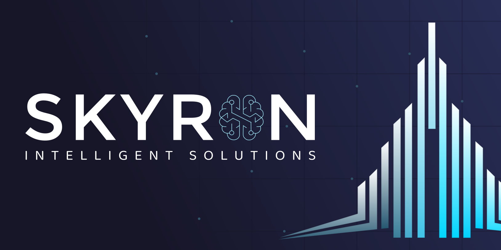Skyron Intelligent Solutions - IT Consulting & Web Dev Services